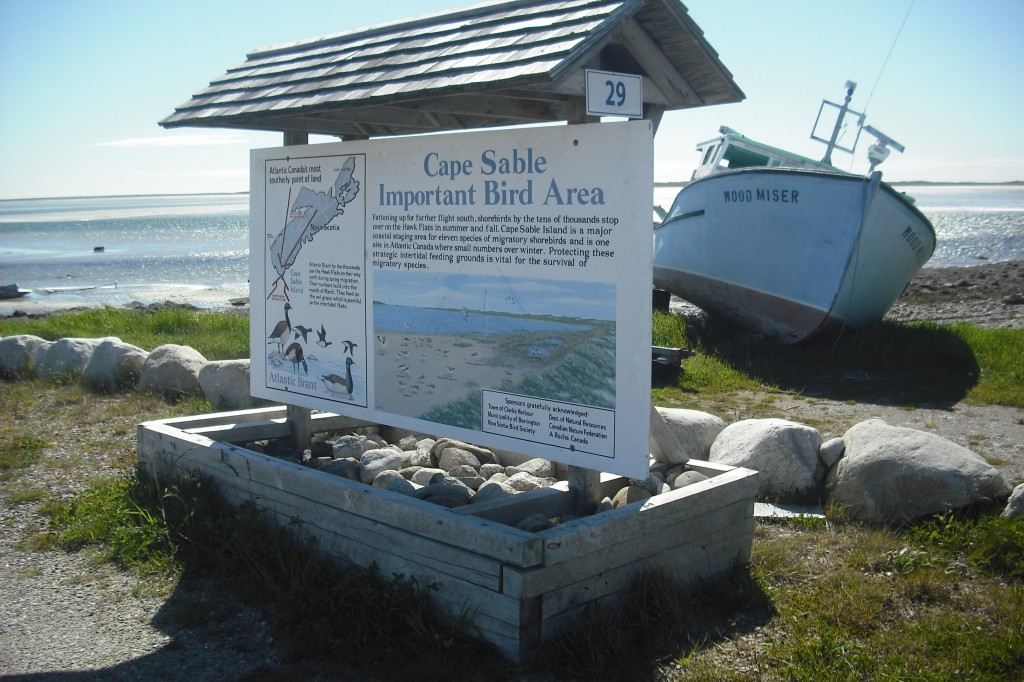 54. The Hawk | Southwest Paddlers – Nova Scotia